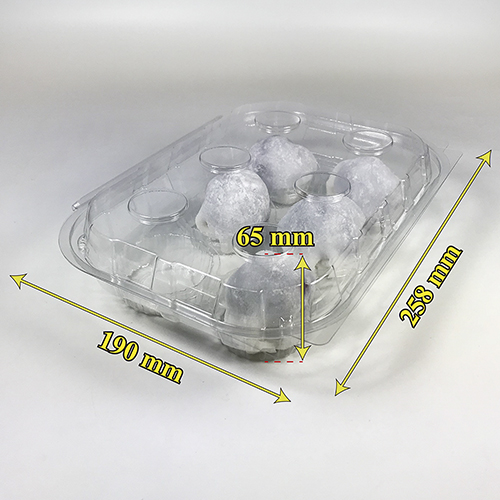 Mochi plastic packaging box