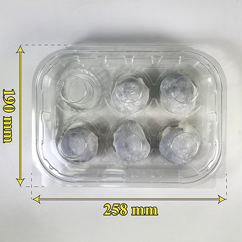 MPKMU1 6ct mochi plastic packaging box