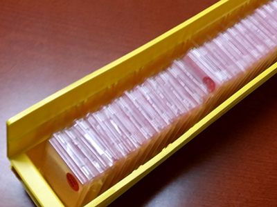 CPU foam plastic blister clamshell esd box memorypack mpk