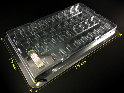 20ct SFP clamshell tray packaging plastic box 1955